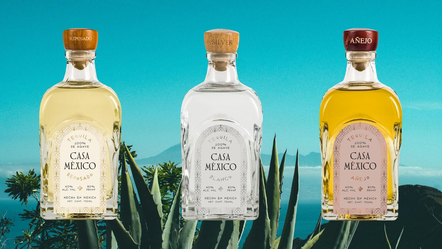 Why Casa Mexico Tequila Is Becoming the Drink of Choice for Elevating ...